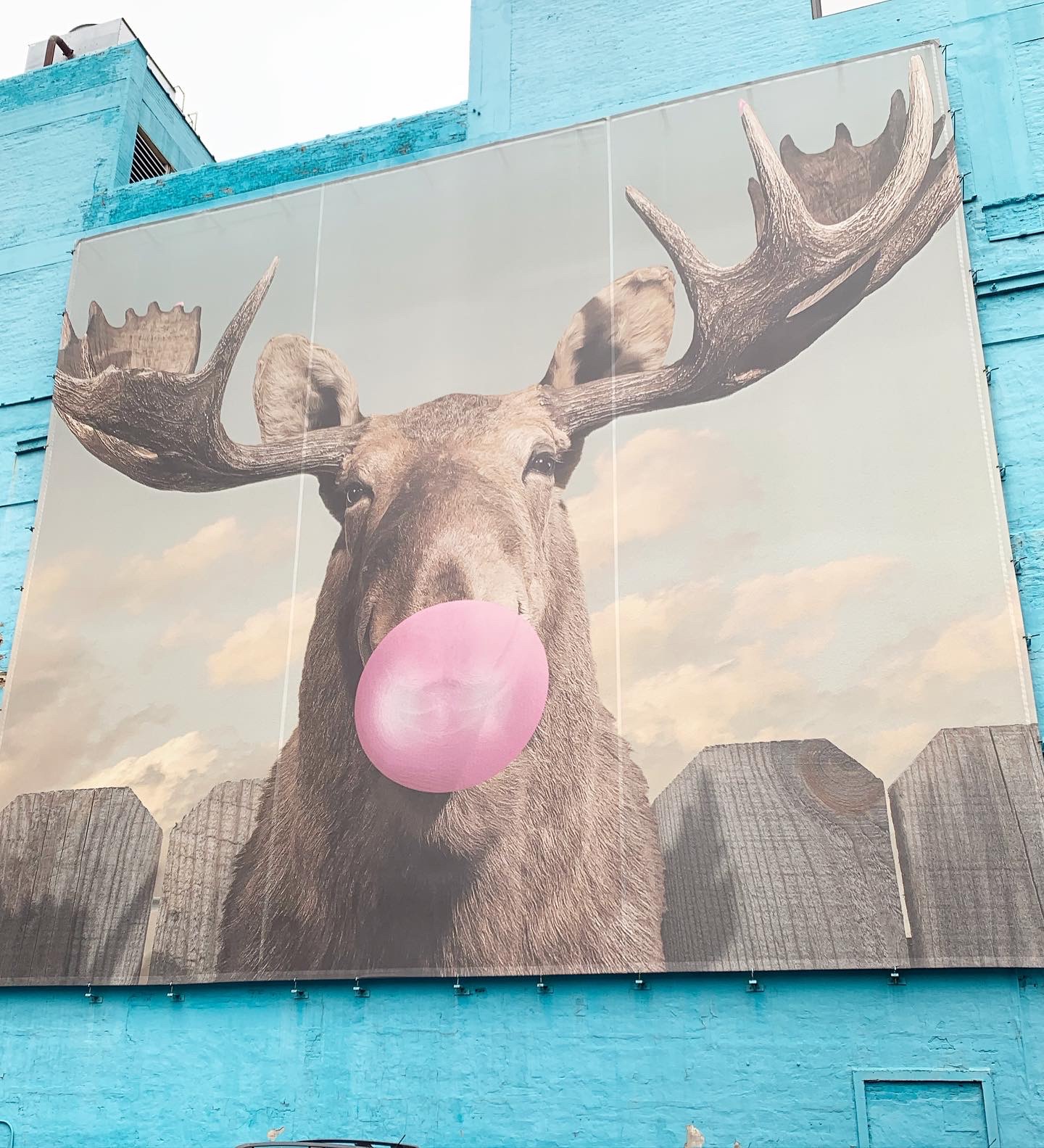 Mural Hop Chicago - What Should We Do Today Chicago?